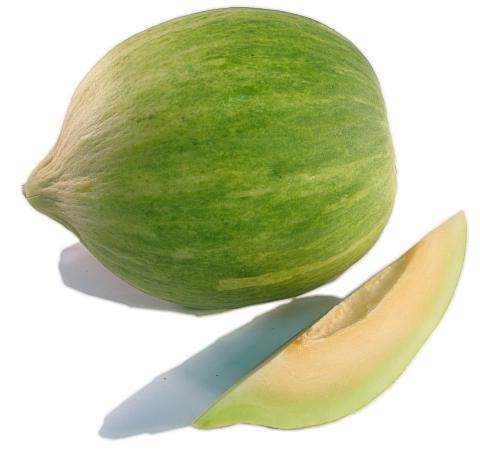 Crenshaw Melon - Nature's Produce