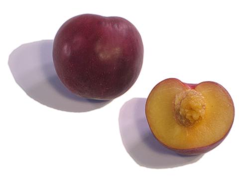 Black Velvet Apricot - Nature's Produce